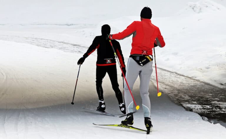 Best Cross Country Skis for Every Skill Level and Budget in 2025